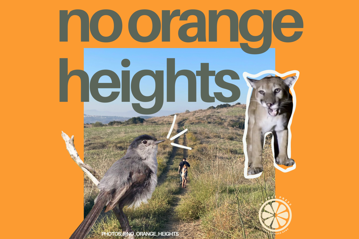 No Orange Heights – OC Free Press